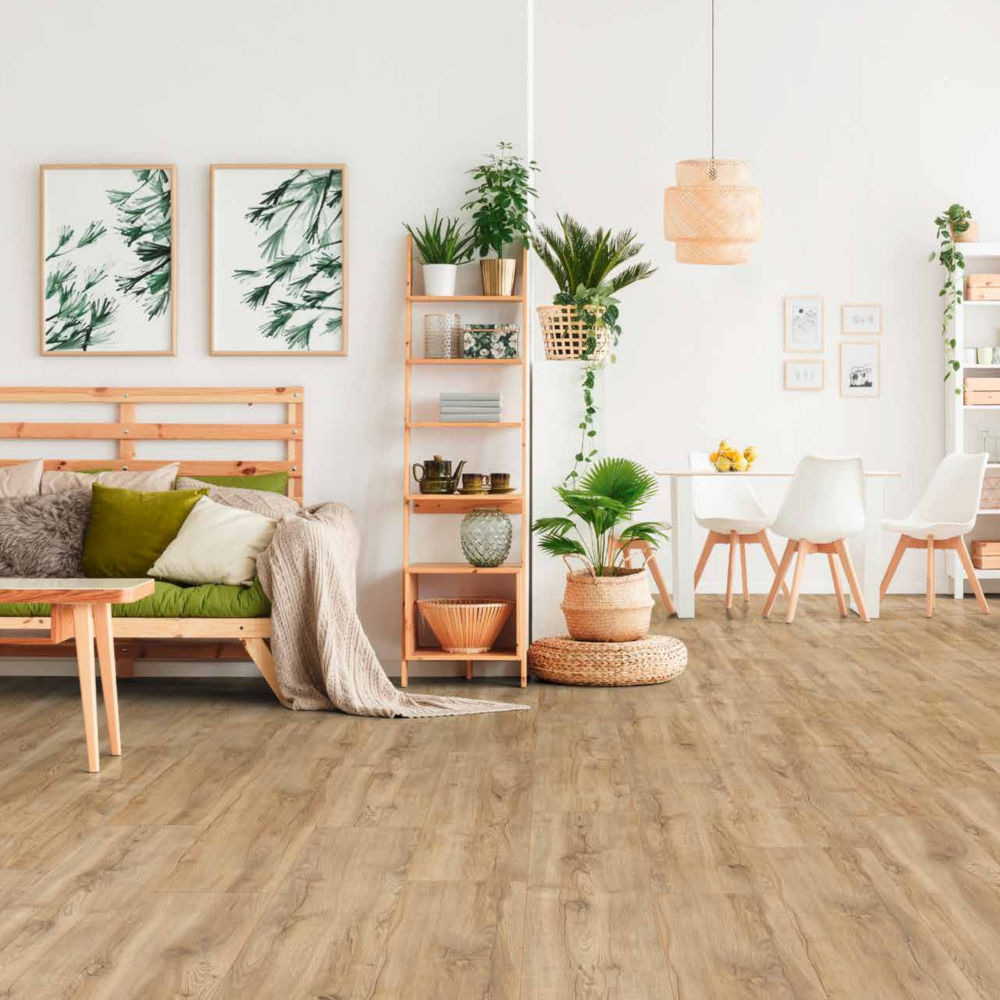 Cottage MV856 | Laminate πάχος 8mm | φθηνά laminate